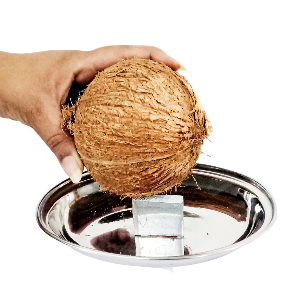 Stylish Round Coconut Breaker Stainless Steel (Heavy Duty) – My Divine ...