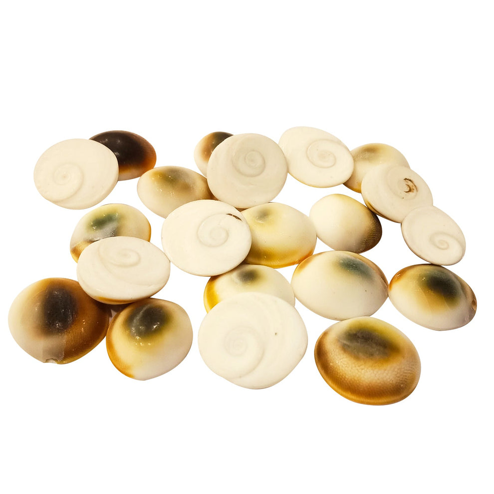 Gomati Chakra Original Shubh Energized Natural Divya Holy Stone – My ...